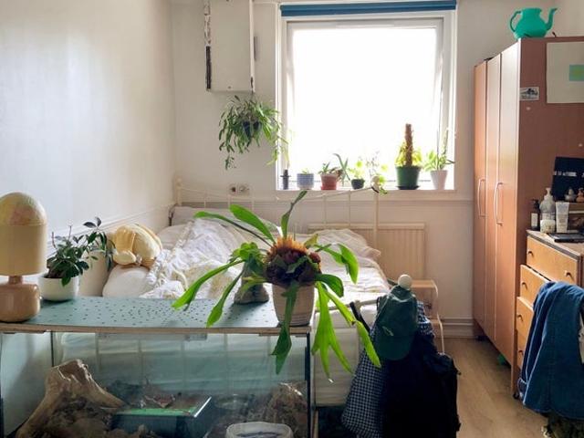 Room at Hastings Close, Greater London