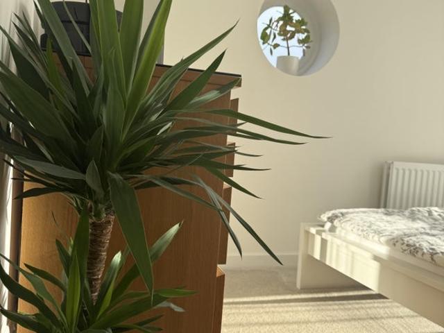 Room at Hardy Avenue, Greater London