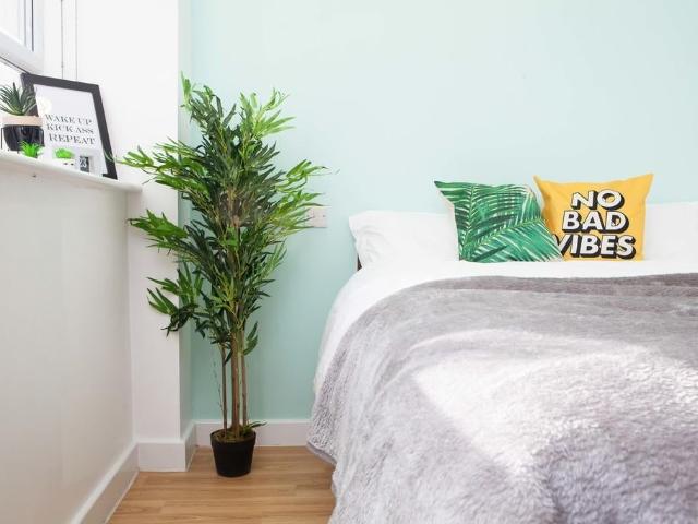 Room at High Street, Bangor