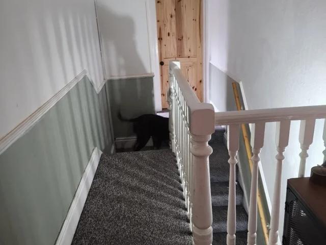 Room at Holderness Road, Hull