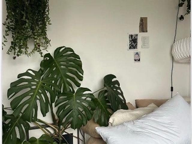 Room at Horton Road, Greater London