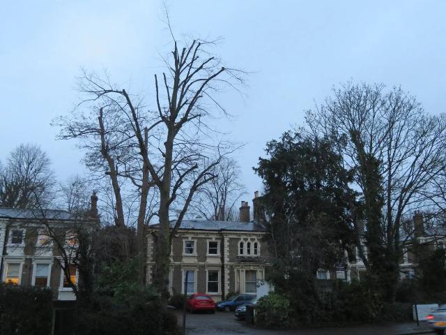 Room at Kirkdale, Greater London