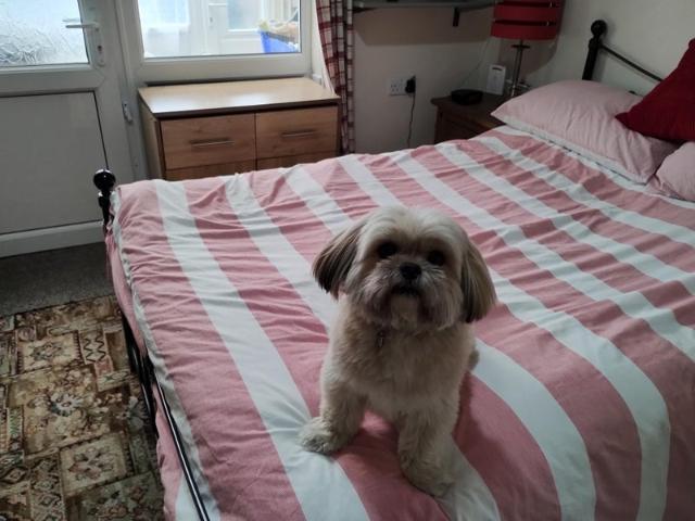 Room at Lexington Drive, Hull