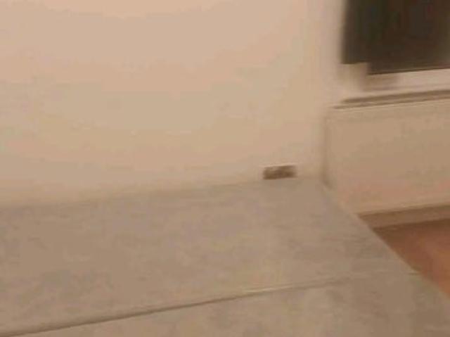Room at Lordsmead Road, Greater London