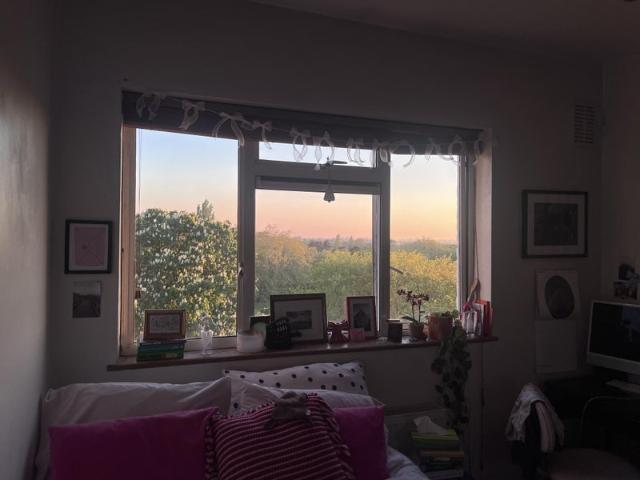 Room at Peckham Rye, Greater London