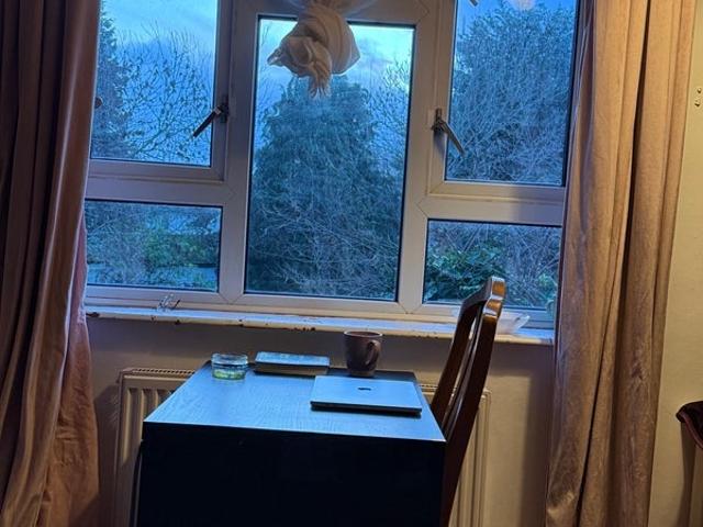 Room at Redlees Close, Greater London