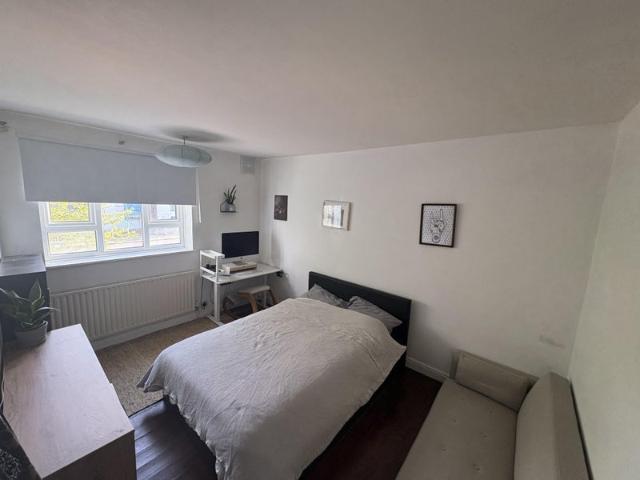 Room at Stanstead Road, Greater London