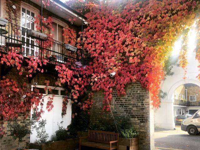 Room at Steele's Mews North, Greater London