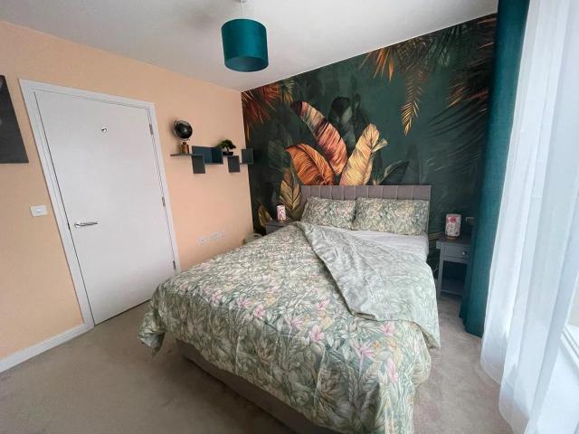 Room at Thalia Way, Rochester