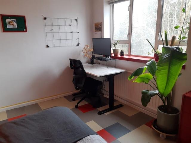 Room at Vincent Road, Greater London