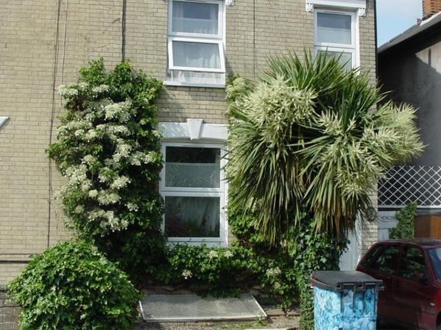 Room at Waterloo Road, Ipswich