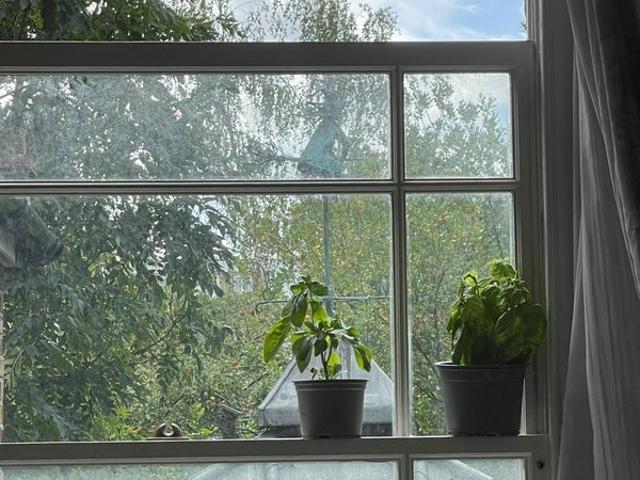 Room at Wilton Way, Greater London