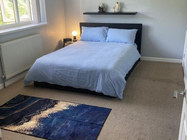 Room at Woodland Rise, Tir Phil