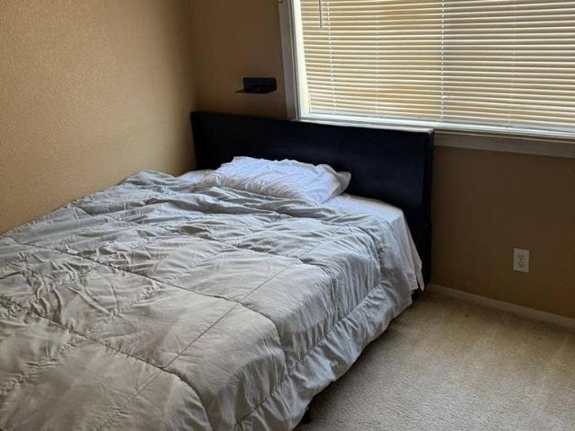 Room available for rent