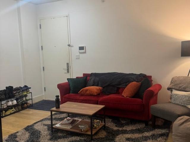 Room available in 2bd/1ba in Bedstuy July 1st
