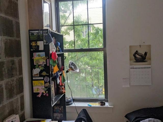 Room available in 3BR/1BA Bushwick July 1st