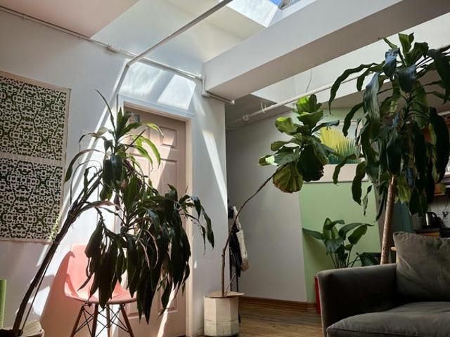 Room available in Williamsburg OG loft building