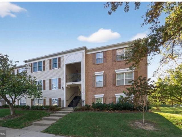 Room Available in a 2b/2b in Silver Spring