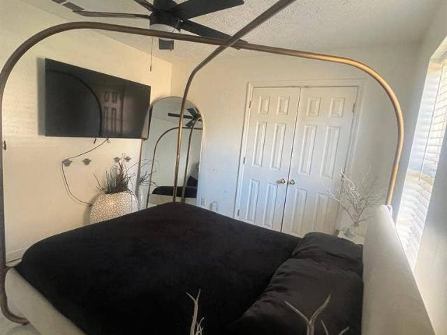 Room available in August