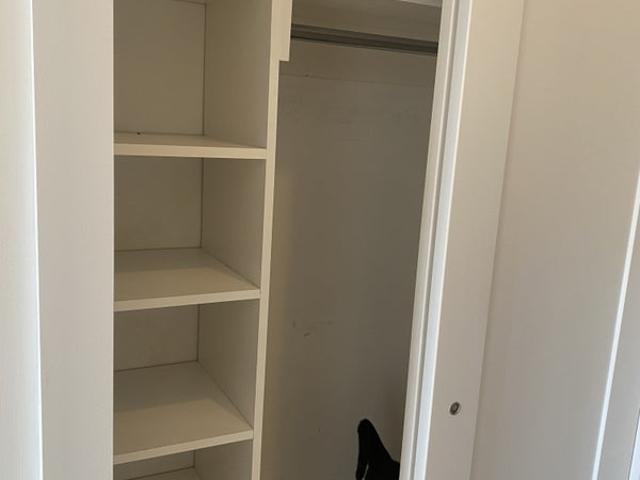 Room Available in Bed Stuy Apartment