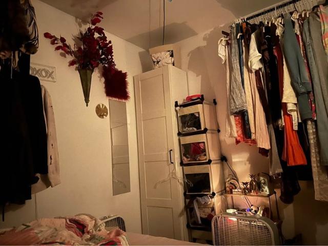 Room Available in Bushwick