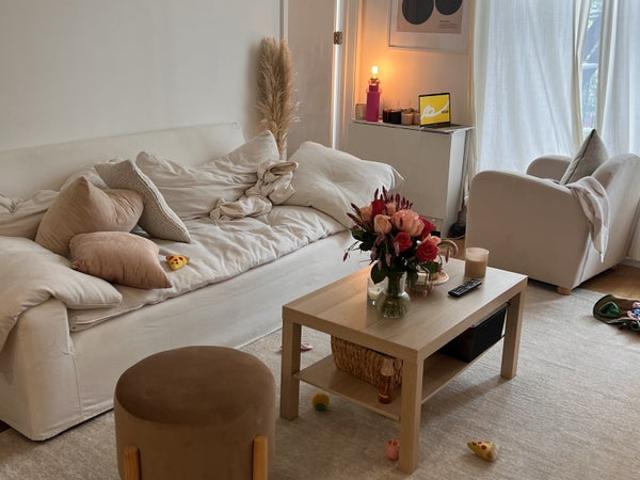 Room available in Cute Bedstuy apartment
