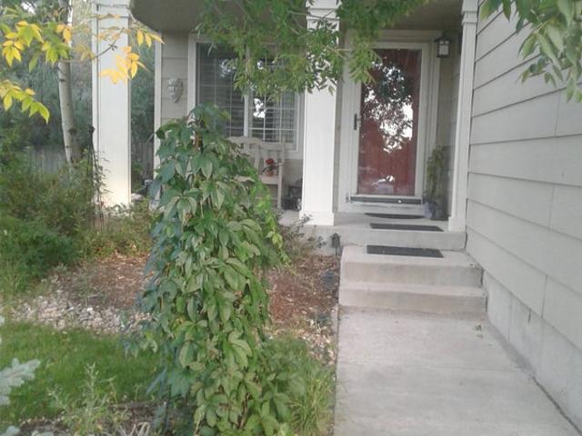 Room Available in Douglas county