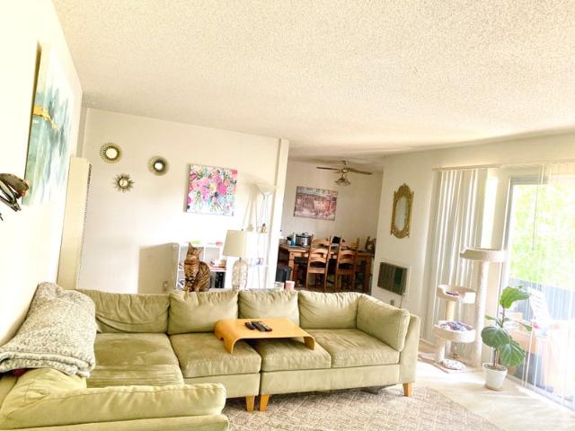 Room available in Downtown Walnut Creek!