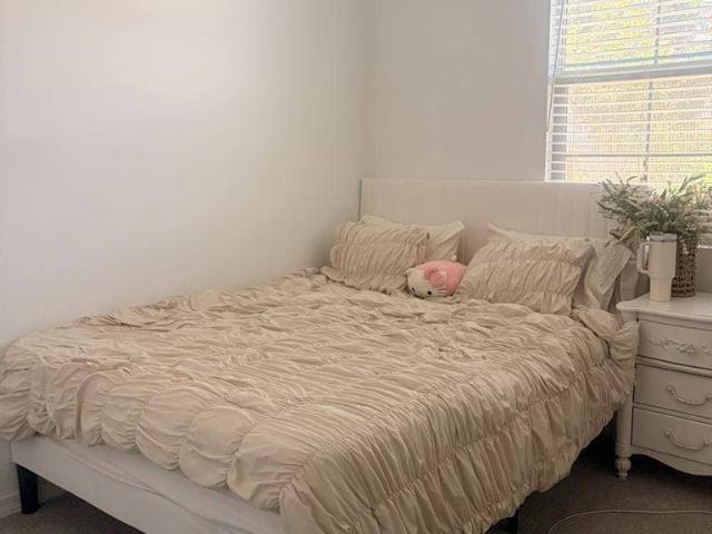 Room available in east Mesa