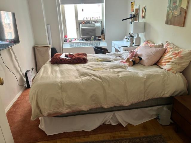 Room Available in Female Apartment + Friendly Cat