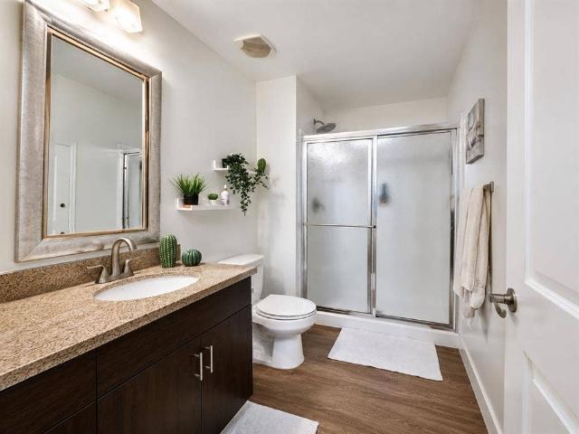 Room available in phoenix