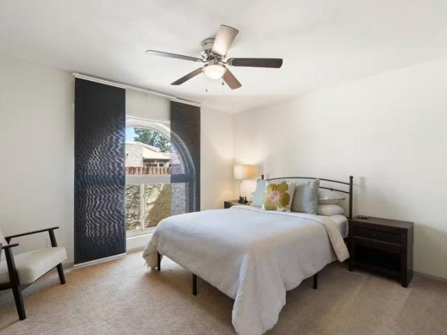 Room Available near Old Town Scottsdale