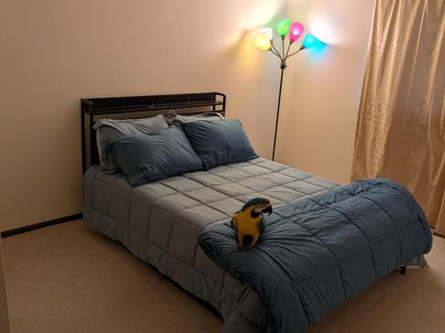 Room Available now