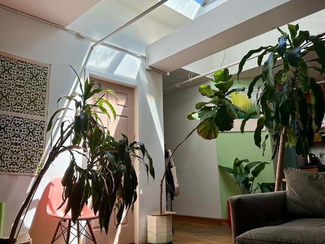 Room available on North 4th and Bedford Ave