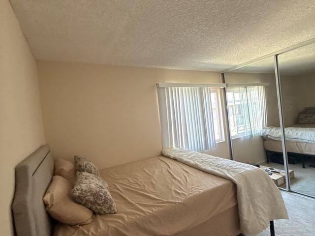 Room and bath for rent