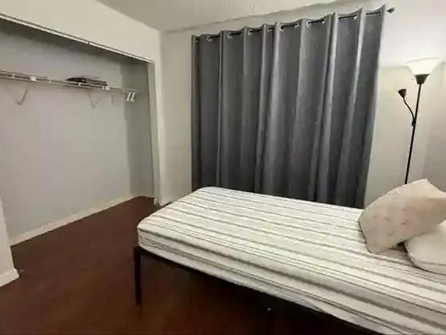 Room and Board Available