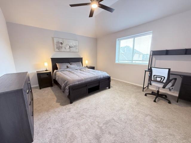 Room Furnished & Utilities Included