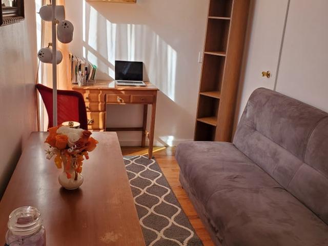 Room for Mature Professional and Student