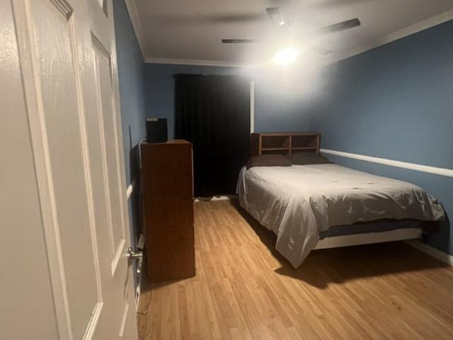Room for rent near colleges