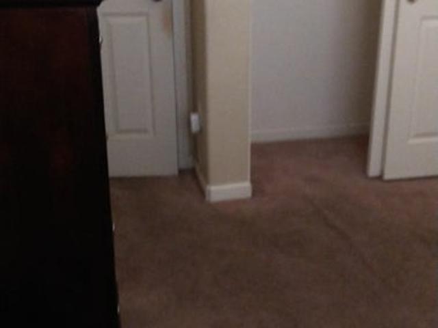 Room for rent off 8 mile rd