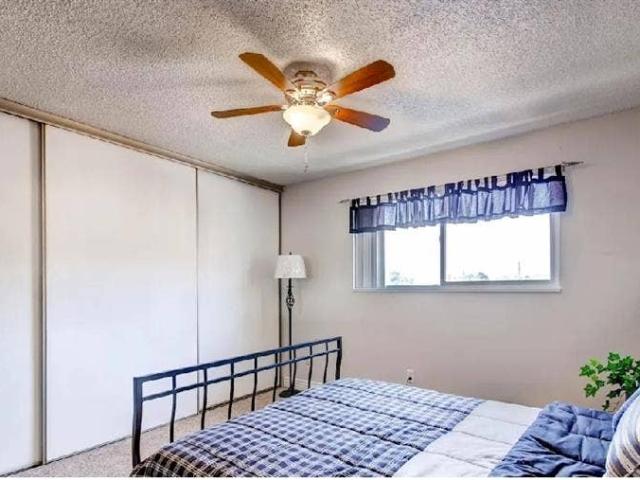 Room for rent only $850