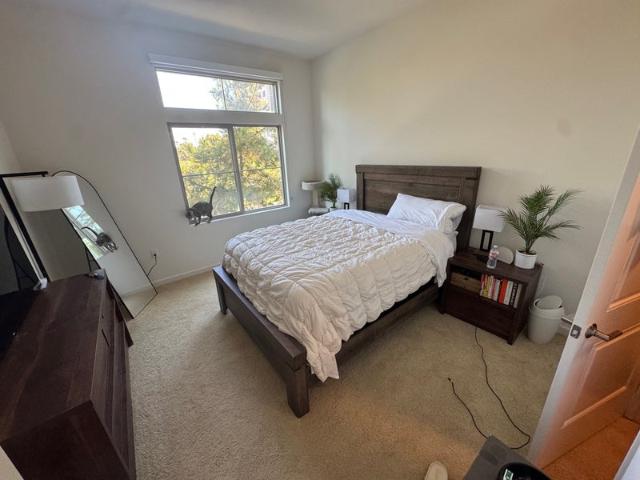 Room for Rent at Centerpointe Apartments