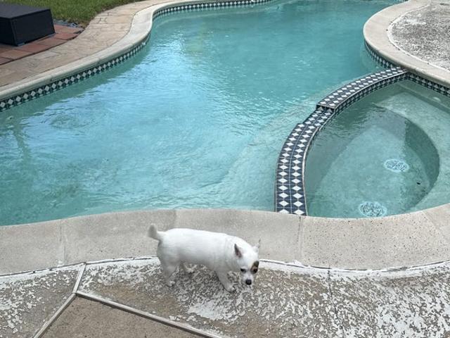 Room for Rent Atascocita area