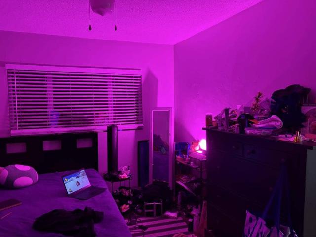 Room for rent available now! $1255