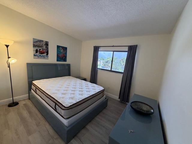 Room for rent Clearwater