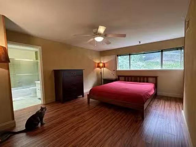 Room for rent in Noe Valley