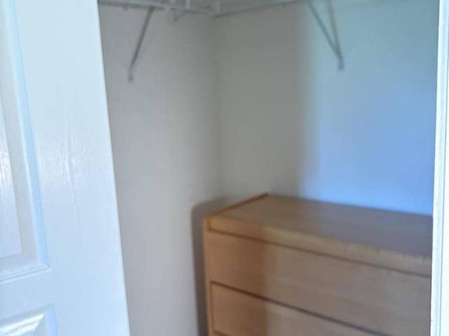 Room for rent in a peaceful home