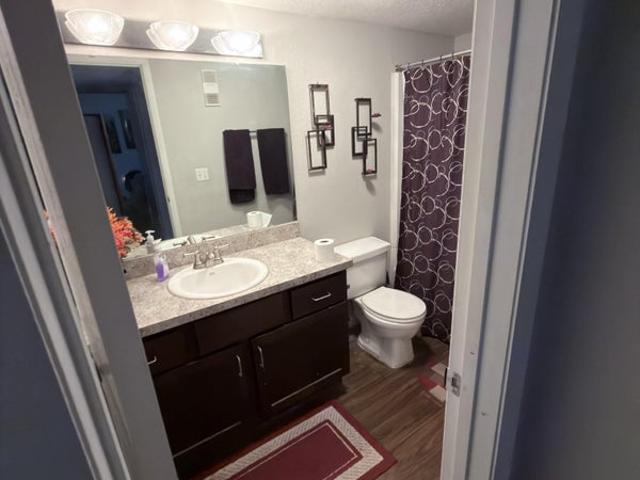 Room for rent in apartment