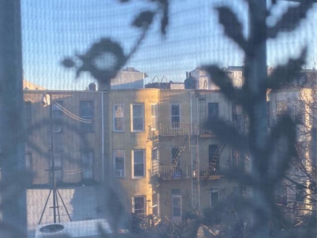 Room for rent in Bushwick