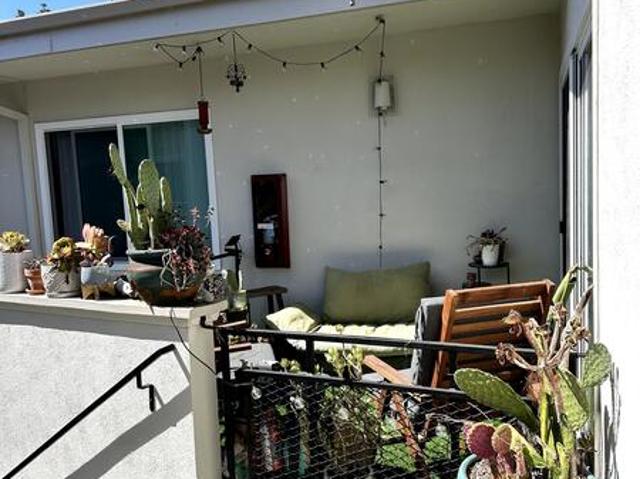 Room for rent in Beautiful Light Flooded Apartment